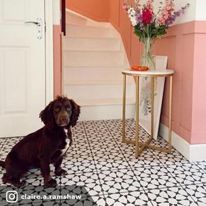 Cuban White Star - Glazed Porcelain Wall & Floor Tile by GEMINI from ...